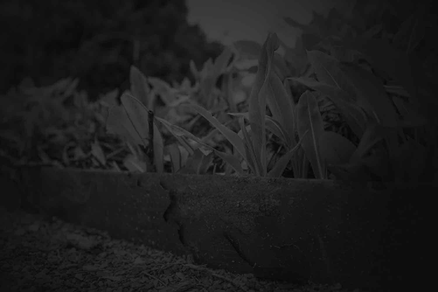 JD Russell Co - DURAEDGE landscape edging and construction products ...